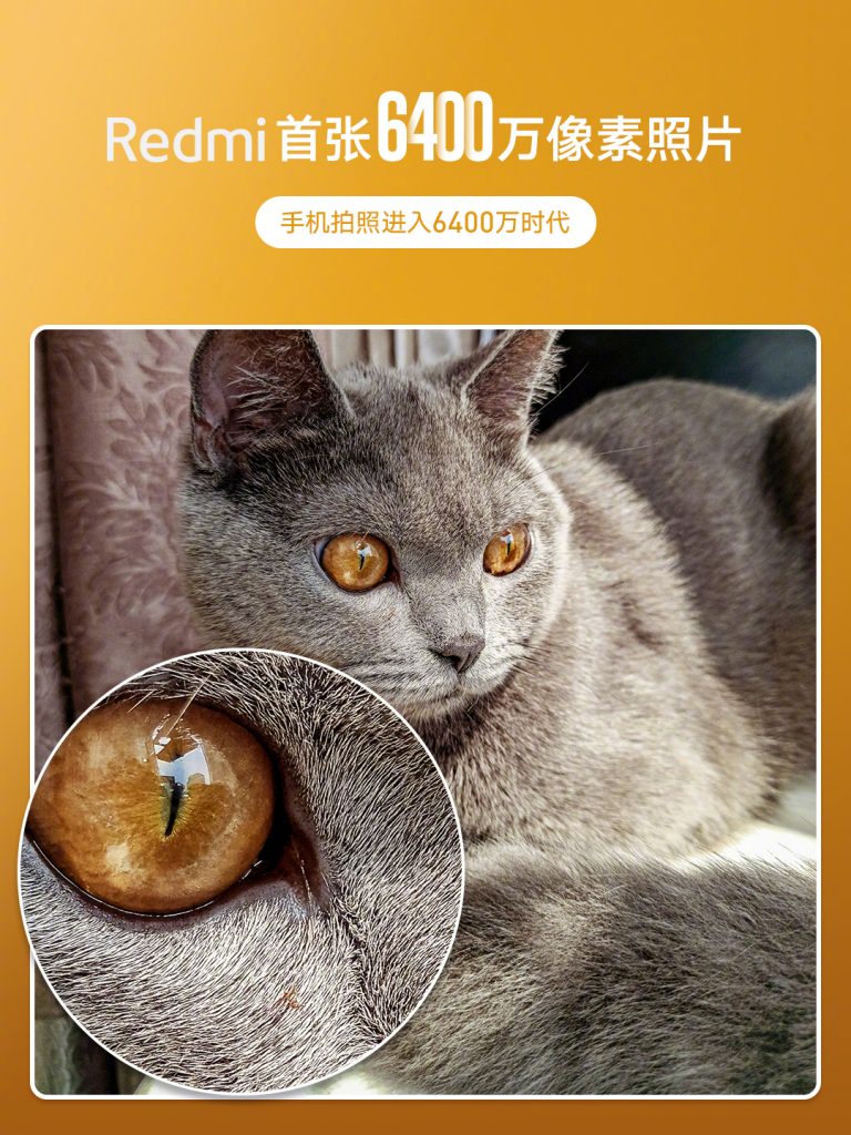 Here's a sample photo taken with Redmi's new 64MP smartphone camera ...