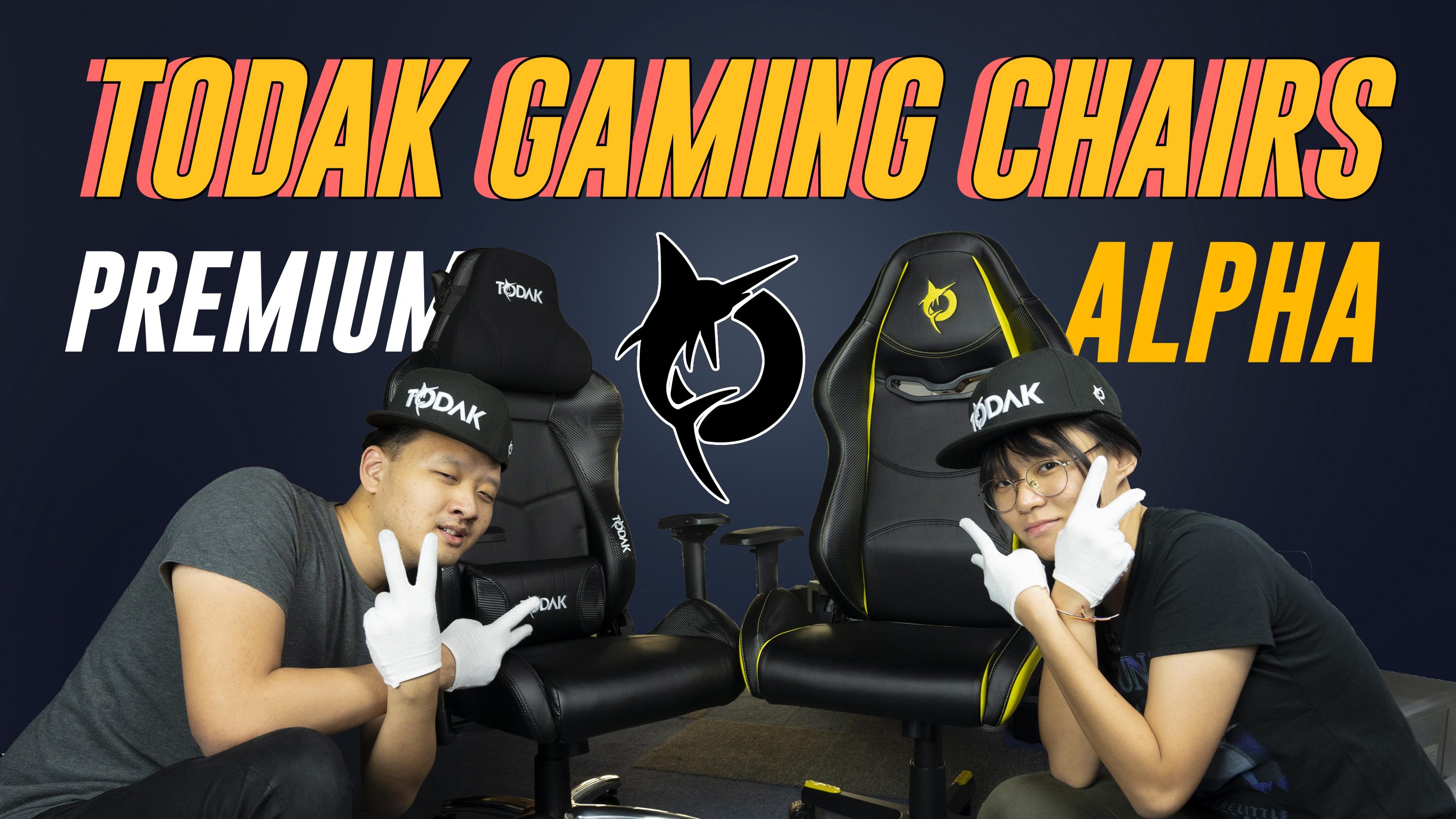 Todak Alpha Standard Gaming Chair | atelier-yuwa.ciao.jp