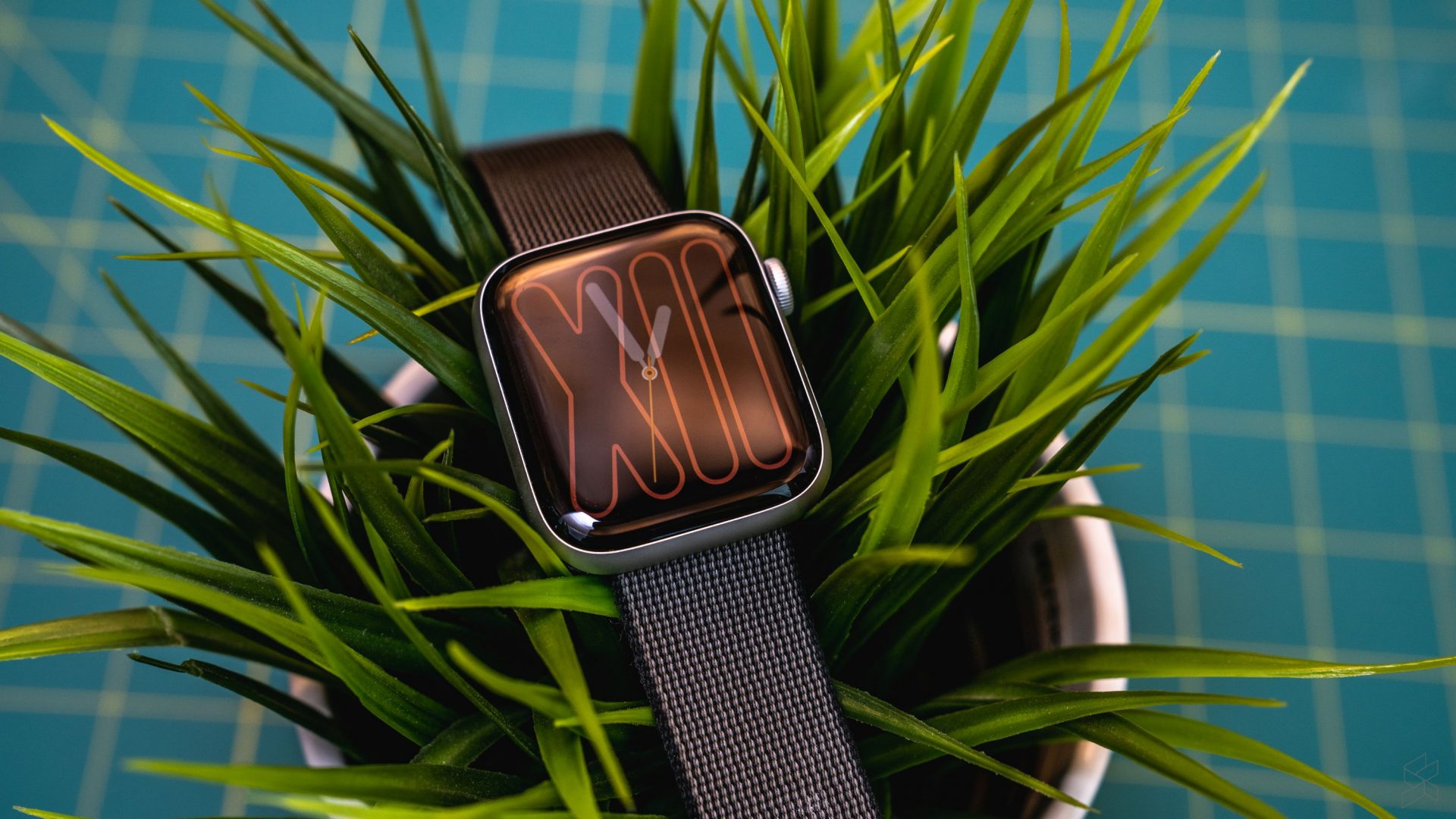 Buyer's Guide: How much should you pay for a smartwatch? - SoyaCincau