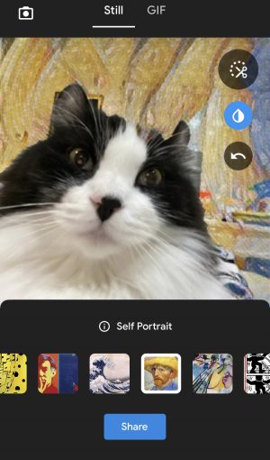 Google's Art Transfer can turn your photos into famous paintings ...