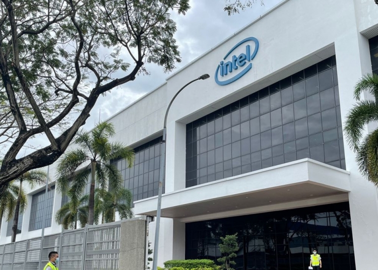 Pelican Project - SoyaCincau