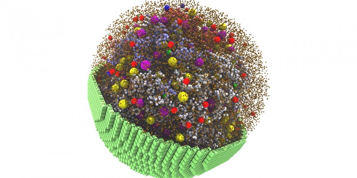 Researchers are now using NVIDIA graphics cards to simulate living ...