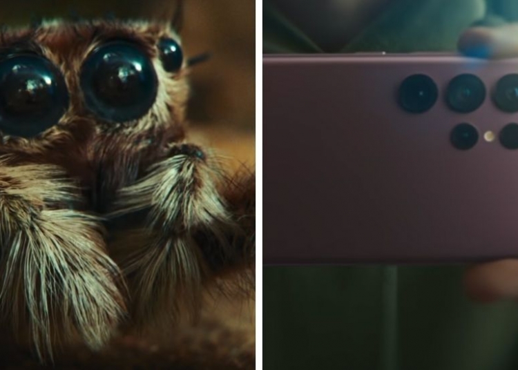 This Samsung Galaxy S22 ad featuring a spider will break your heart ...
