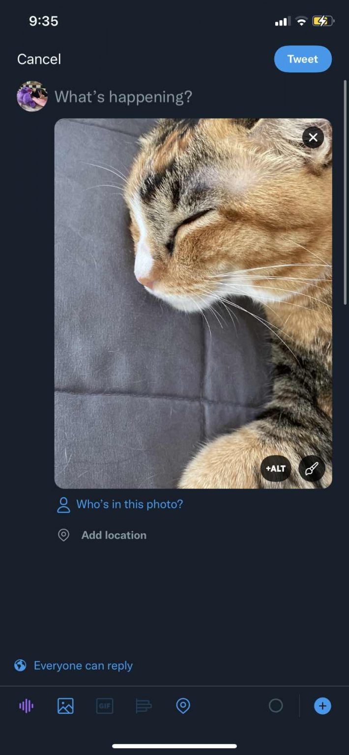 Here's how you can share sensitive content on Twitter without getting ...
