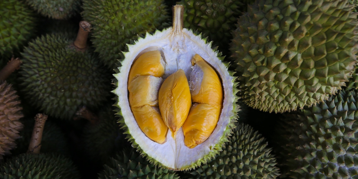 Your next Musang King durian could soon come with a SIRIM certification ...