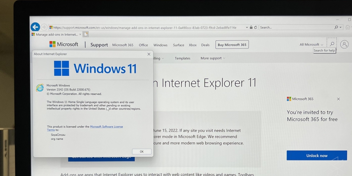 Miss Internet Explorer? Here's how to get it back on Windows 11 ...