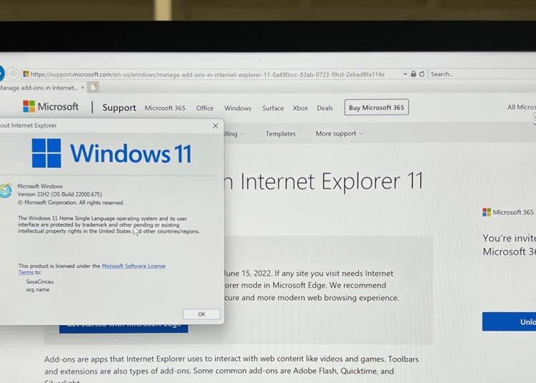 Miss Internet Explorer? Here's how to get it back on Windows 11 ...