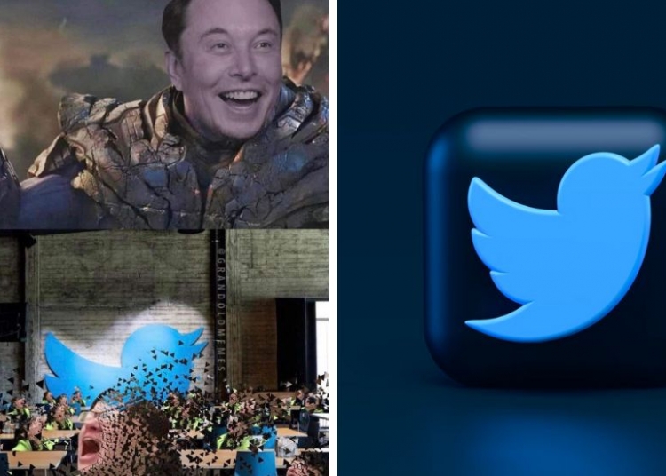 Elon Musk fires Twitter CEO as soon as he finalised the USD 44 billion ...
