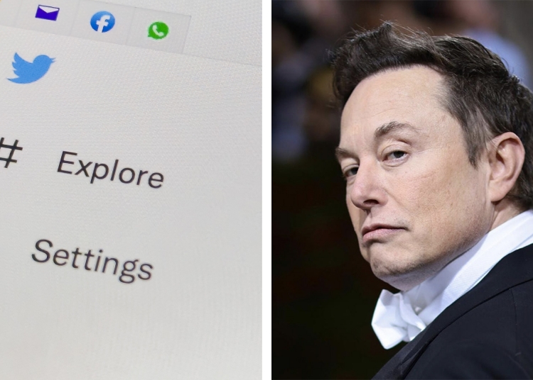 Twitter homepage now shows Explore feed instead of login under Elon ...