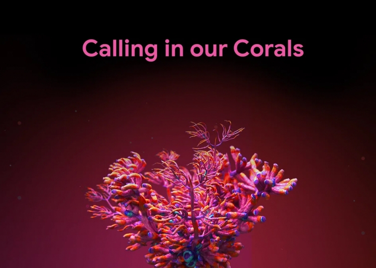 Here's how you can help Google save the coral reefs by listening to them - SoyaCincau