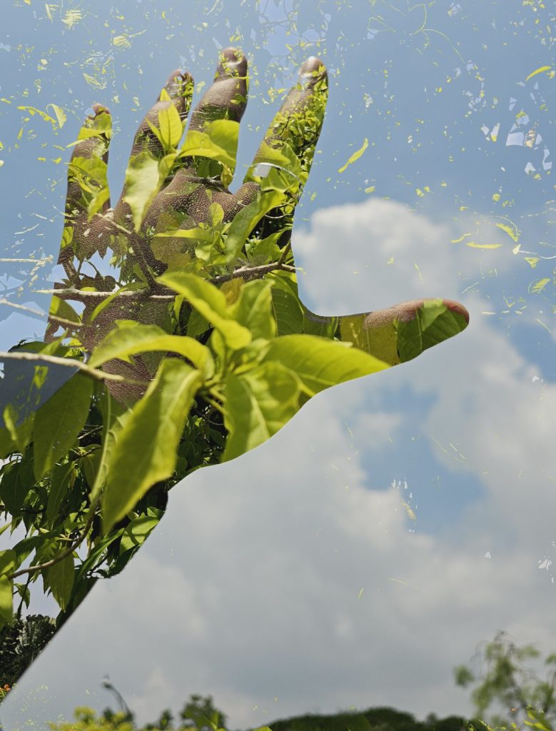 Get creative by using the camera of the Galaxy S23 Ultra to superimpose ...