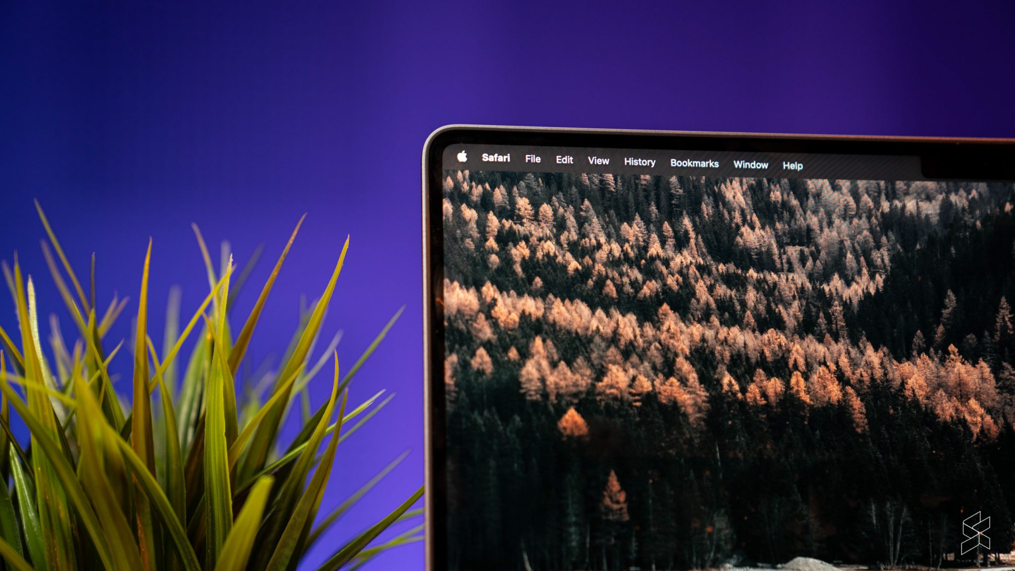 MacBook Pro M2 Max video editing test: This or a Mac Studio?