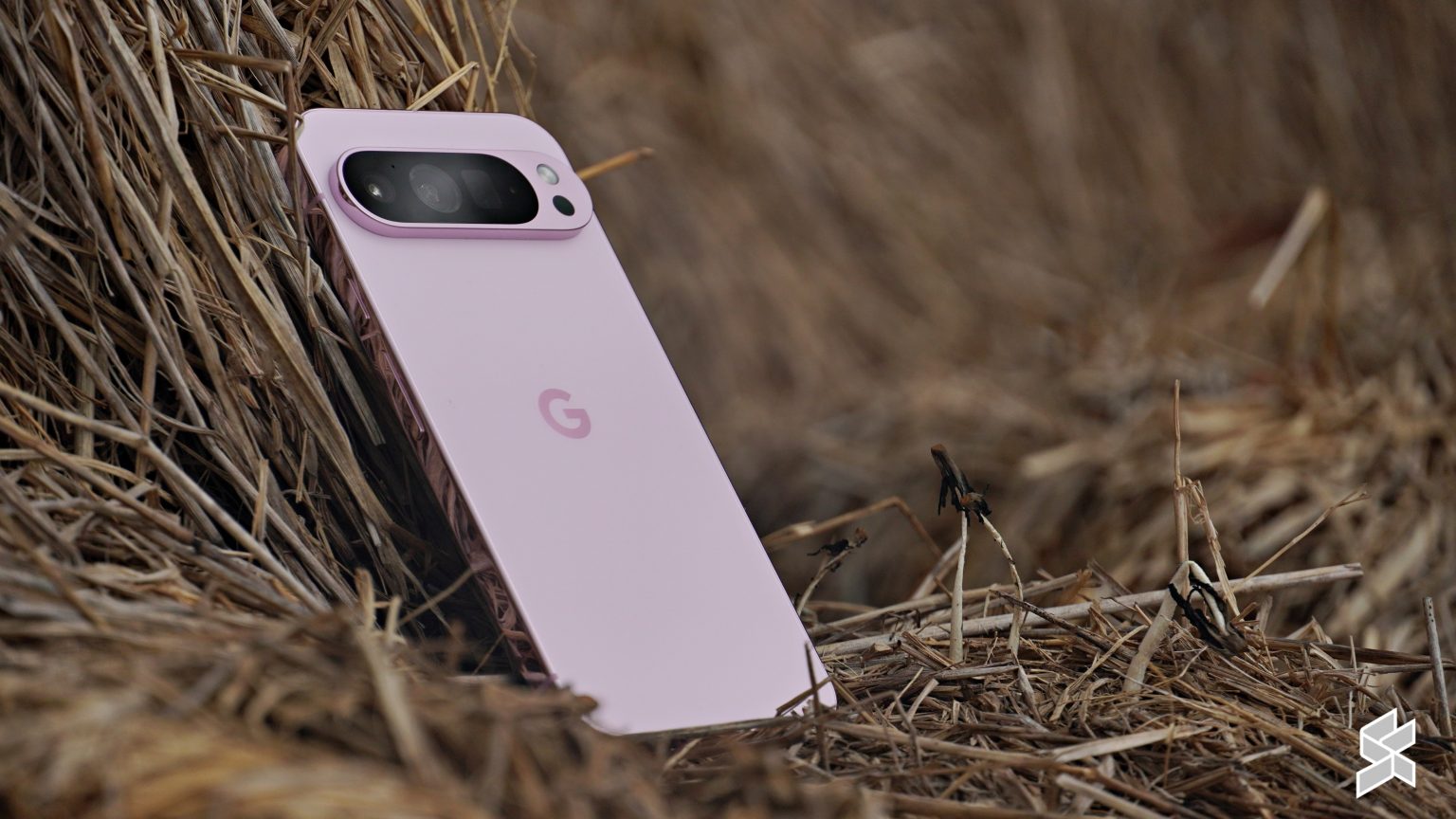 Google Pixel 9, Pixel 9 Pro XL now officially available in Malaysia