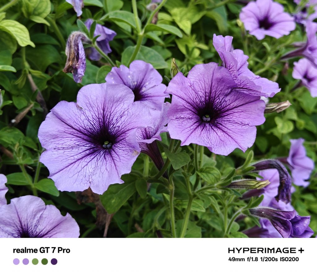 realme GT 7 Pro: Game, Create, Capture and Explore with Snapdragon 8 Elite