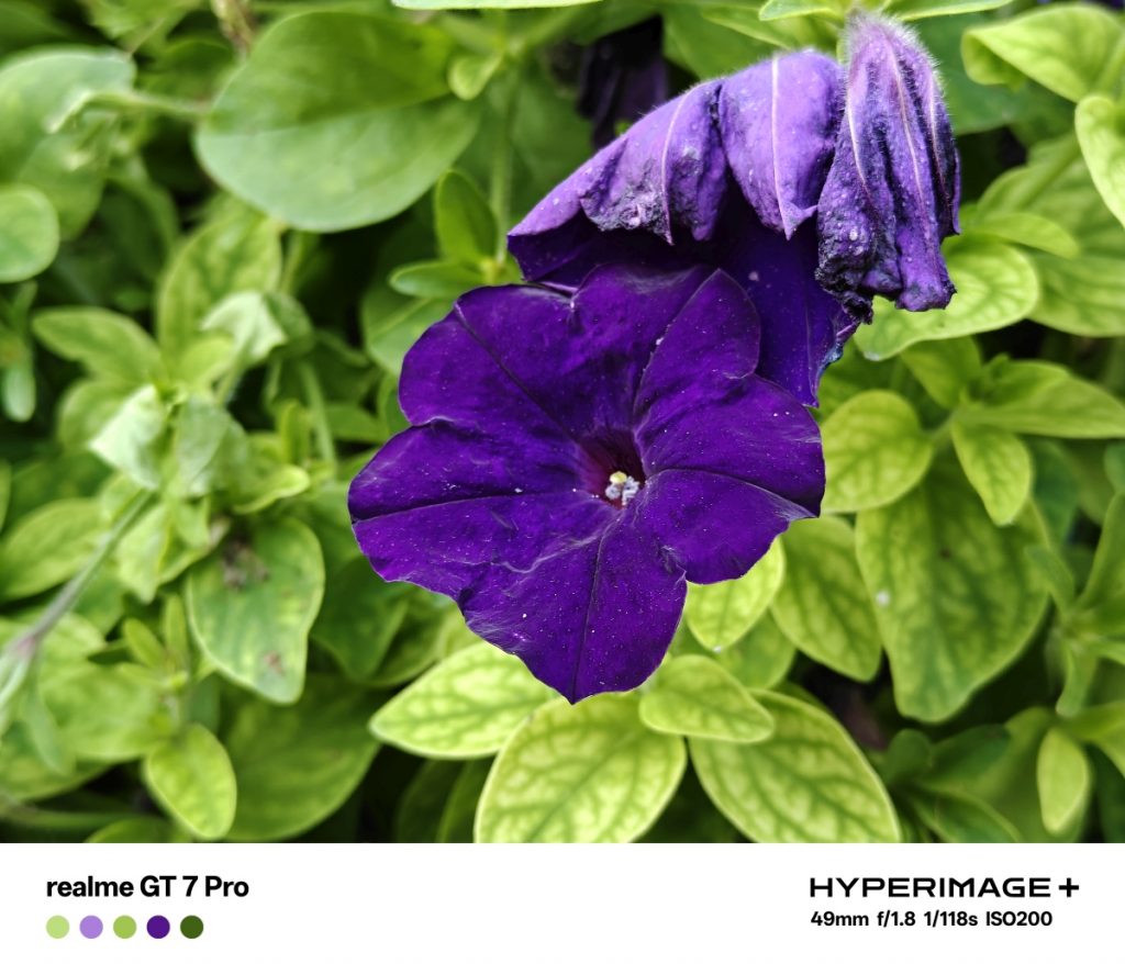 realme GT 7 Pro: Game, Create, Capture and Explore with Snapdragon 8 Elite