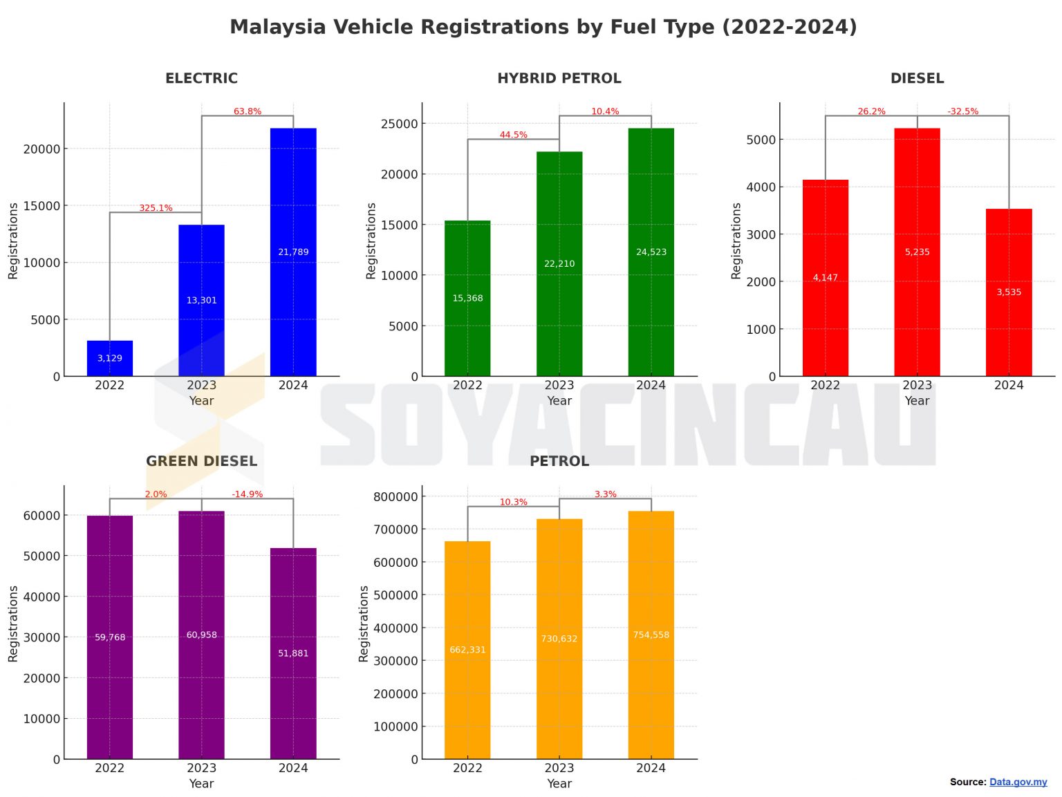 EV Registrations (Jan-Dec 2024): Malaysia's popular EVs