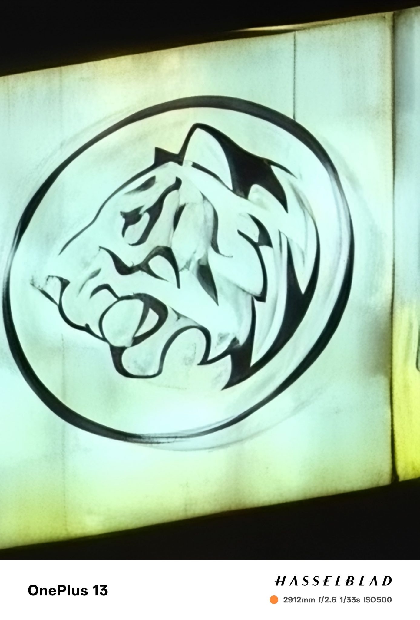 Buy or Bin? | OnePlus 13: Trust me, you'll love its cameras