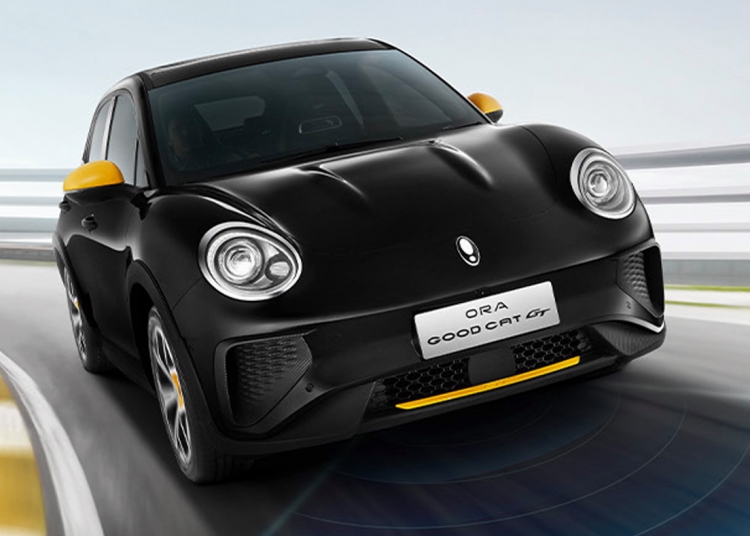 ora good cat - SoyaCincau